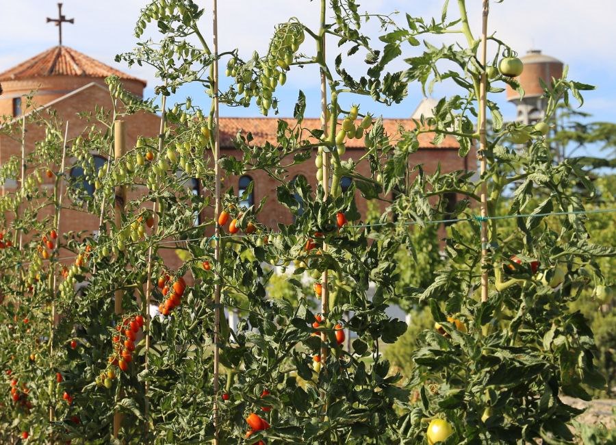 Home [www.sagrarooftoprestaurant.com]